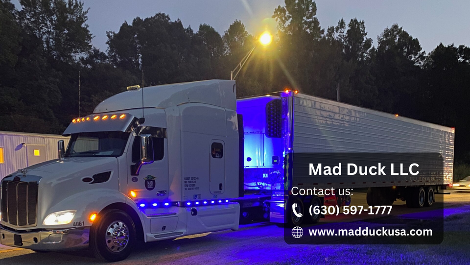 About us - Mad Duck INC